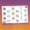 Noongar Boodja Waangkan stickers - Fremantle Press